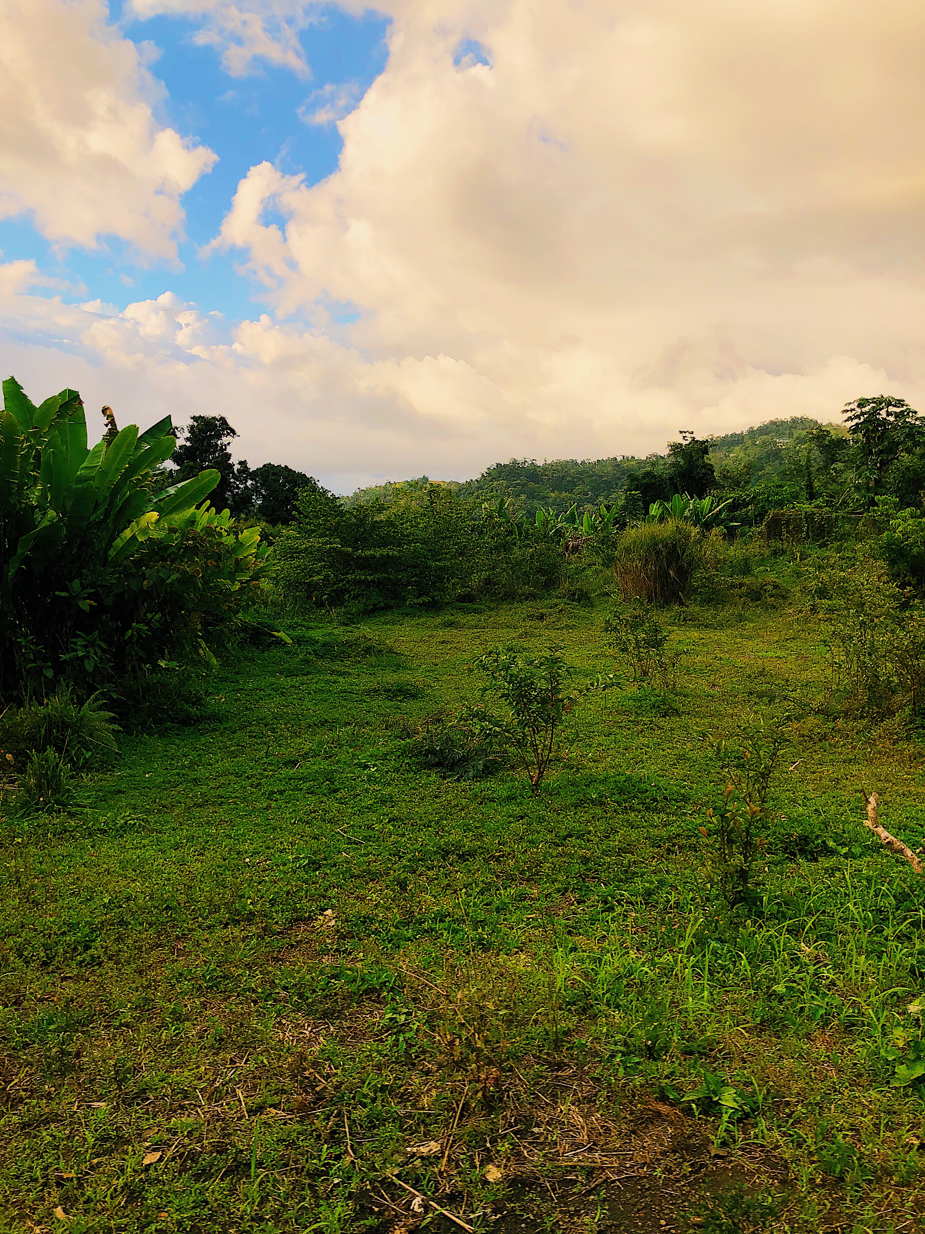 Chinchorro Tour - Blending La Vida